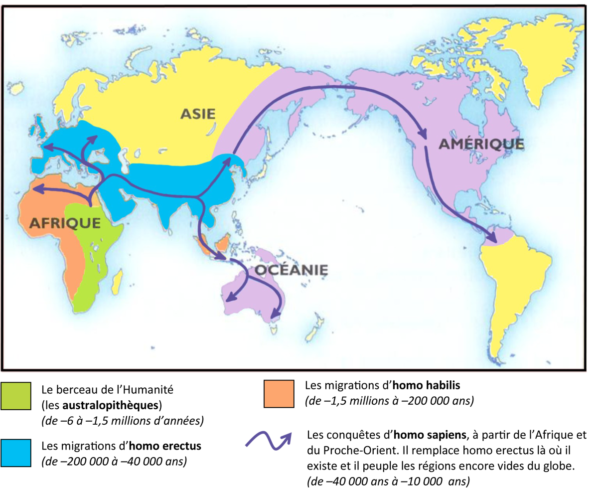 Les débuts de l’Humanité – Mémo Histoire Géo